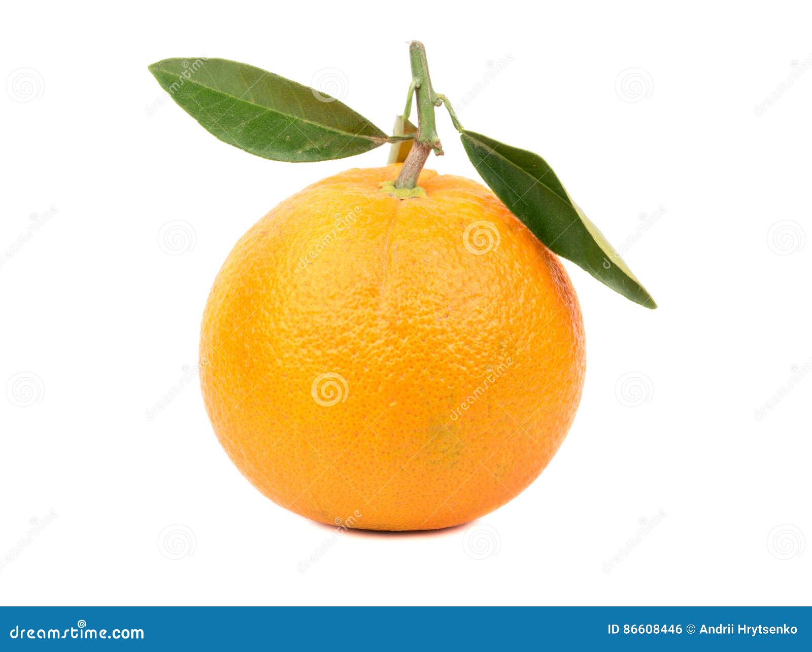 Fruit orange with leaves stock photo. Image of healthcare - 86608446