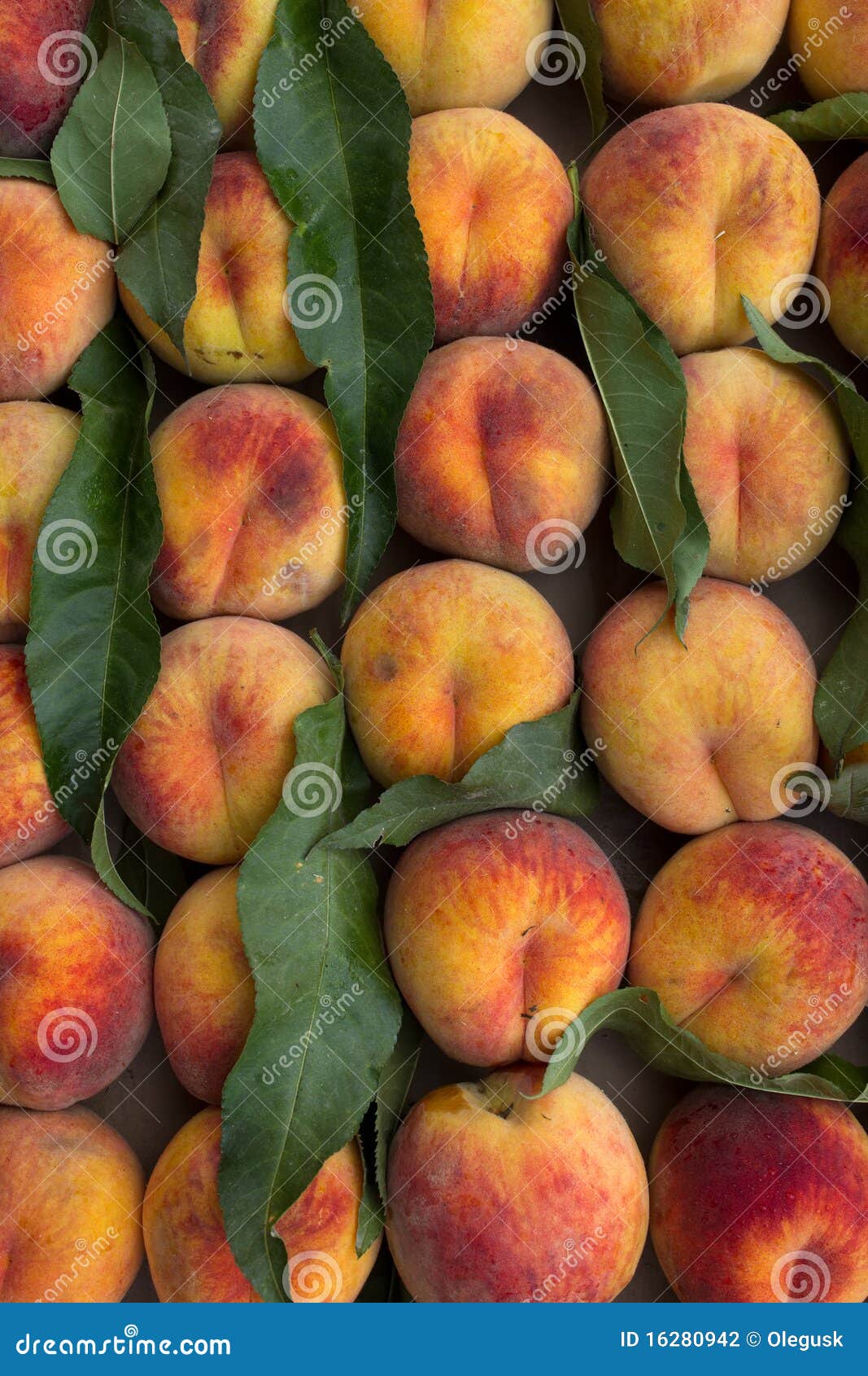 Fruit Peaches Royalty-Free Stock Photography | CartoonDealer.com #7234811