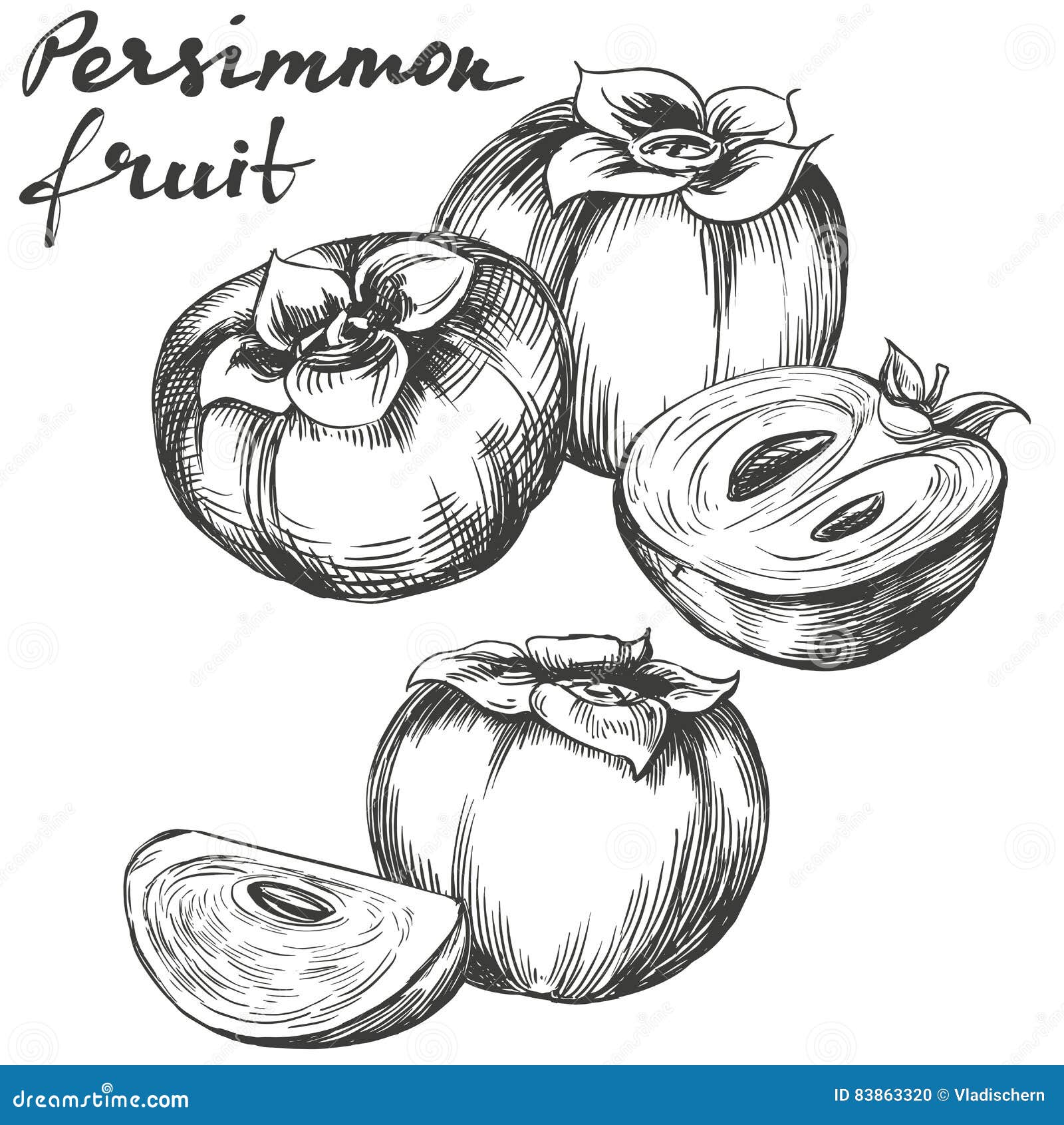 Fruit Persimmon Set Hand Drawn Vector Illustration Sketch Stock Vector ...