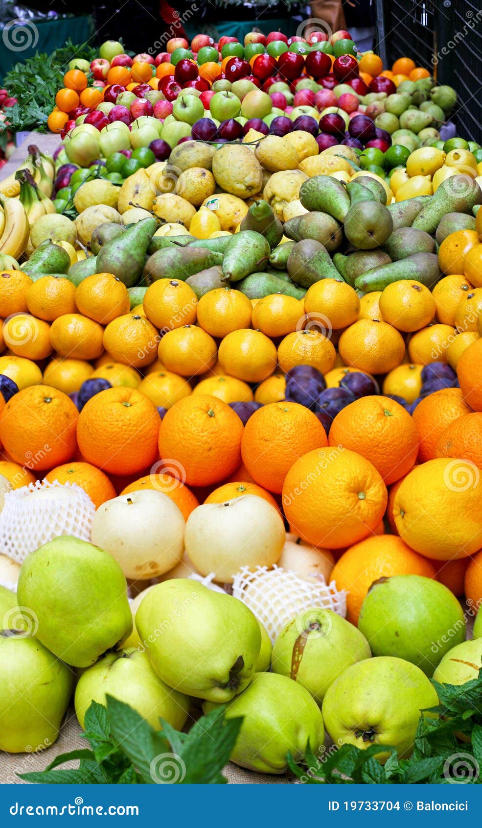 Fruit pile stock photo. Image of yellow, mandarin, food - 19733704