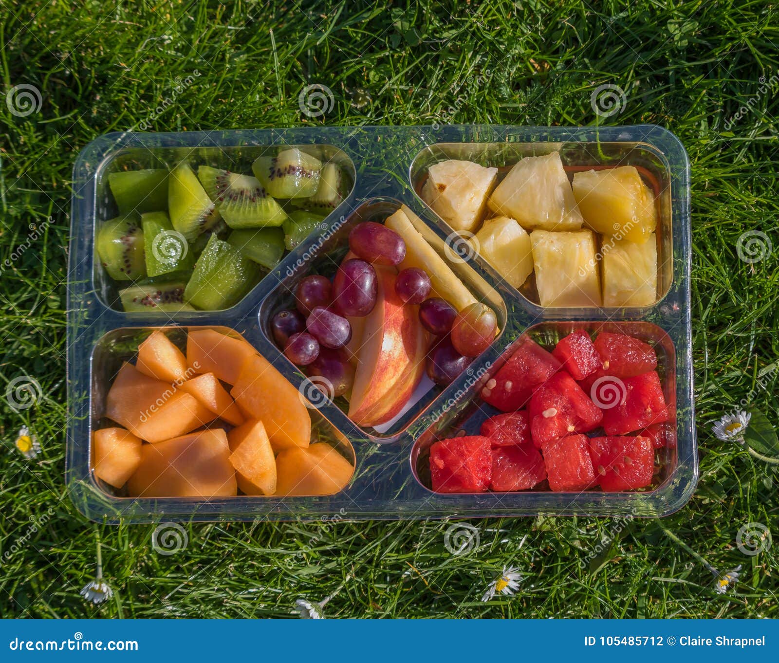 Fruit Platter stock photo. Image of platter, picnic - 105485712