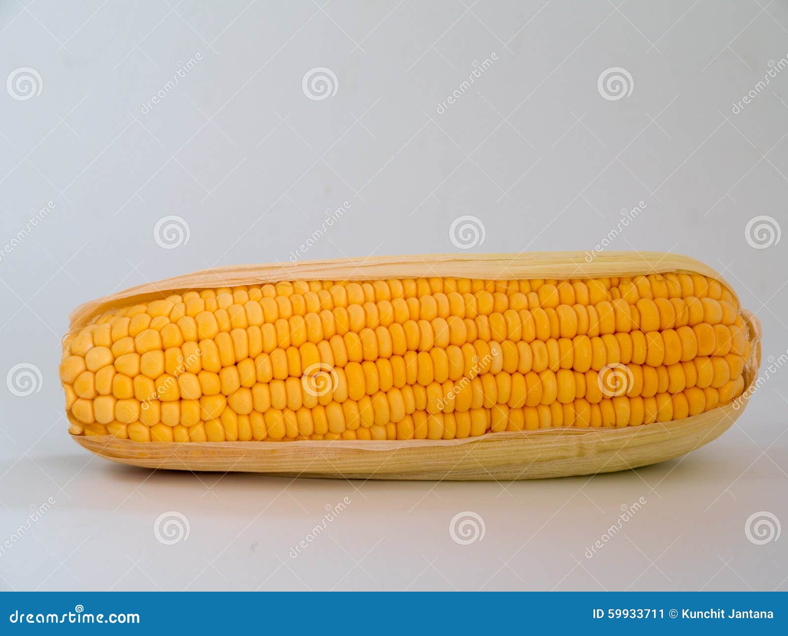 The fruit is a pod corn stock image. Image of maize, silage - 59933711