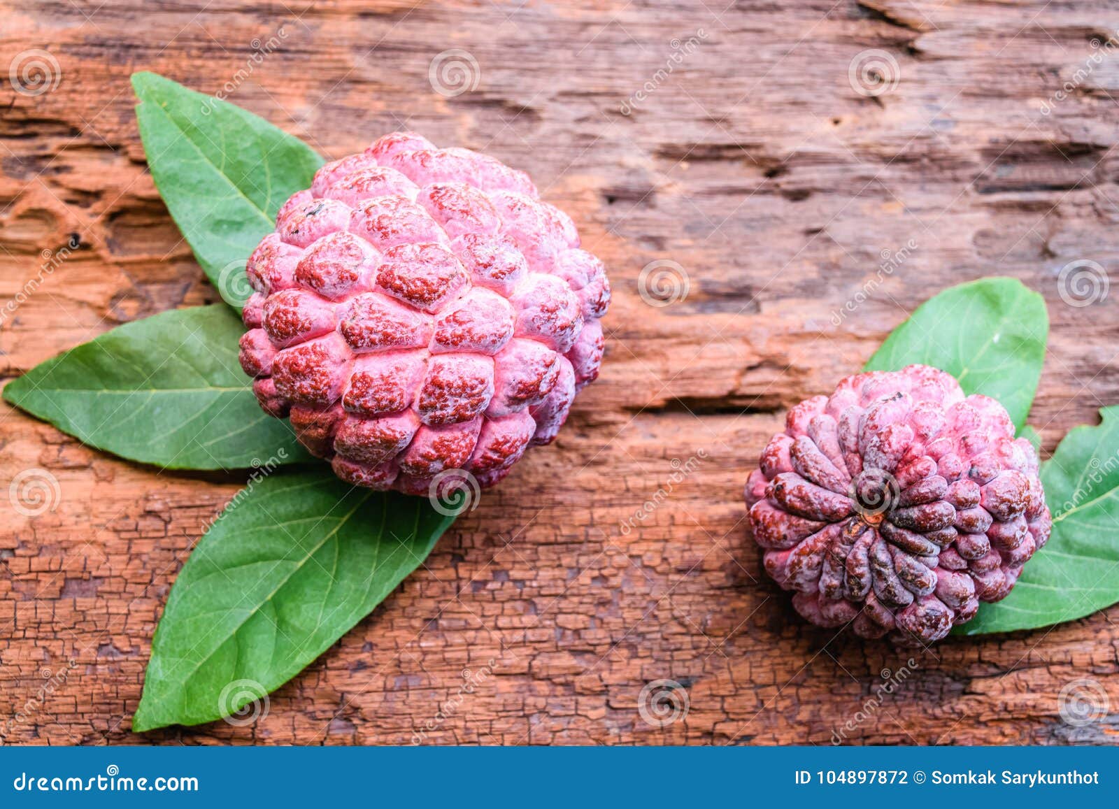 Fruit pourpre de corossol photo stock. Image of nature - 104897872