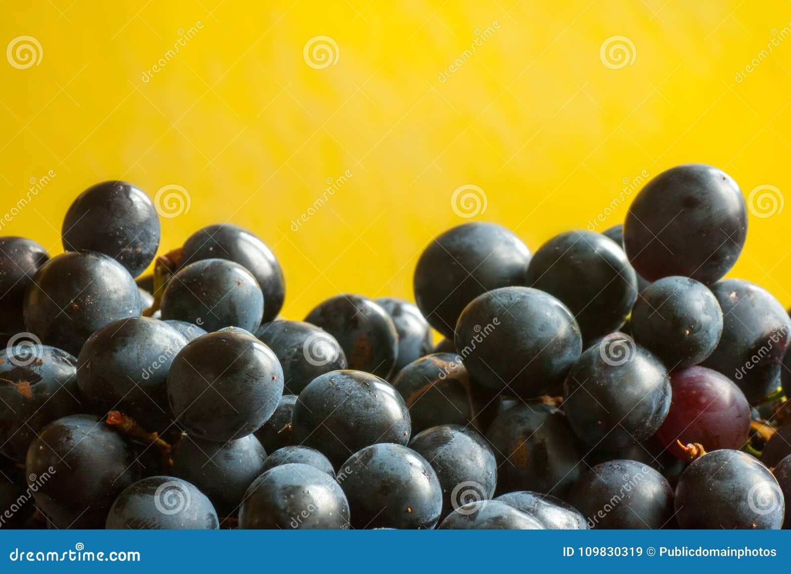 Fruit, Produce, Grape, Grapevine Family Picture. Image: 109830319