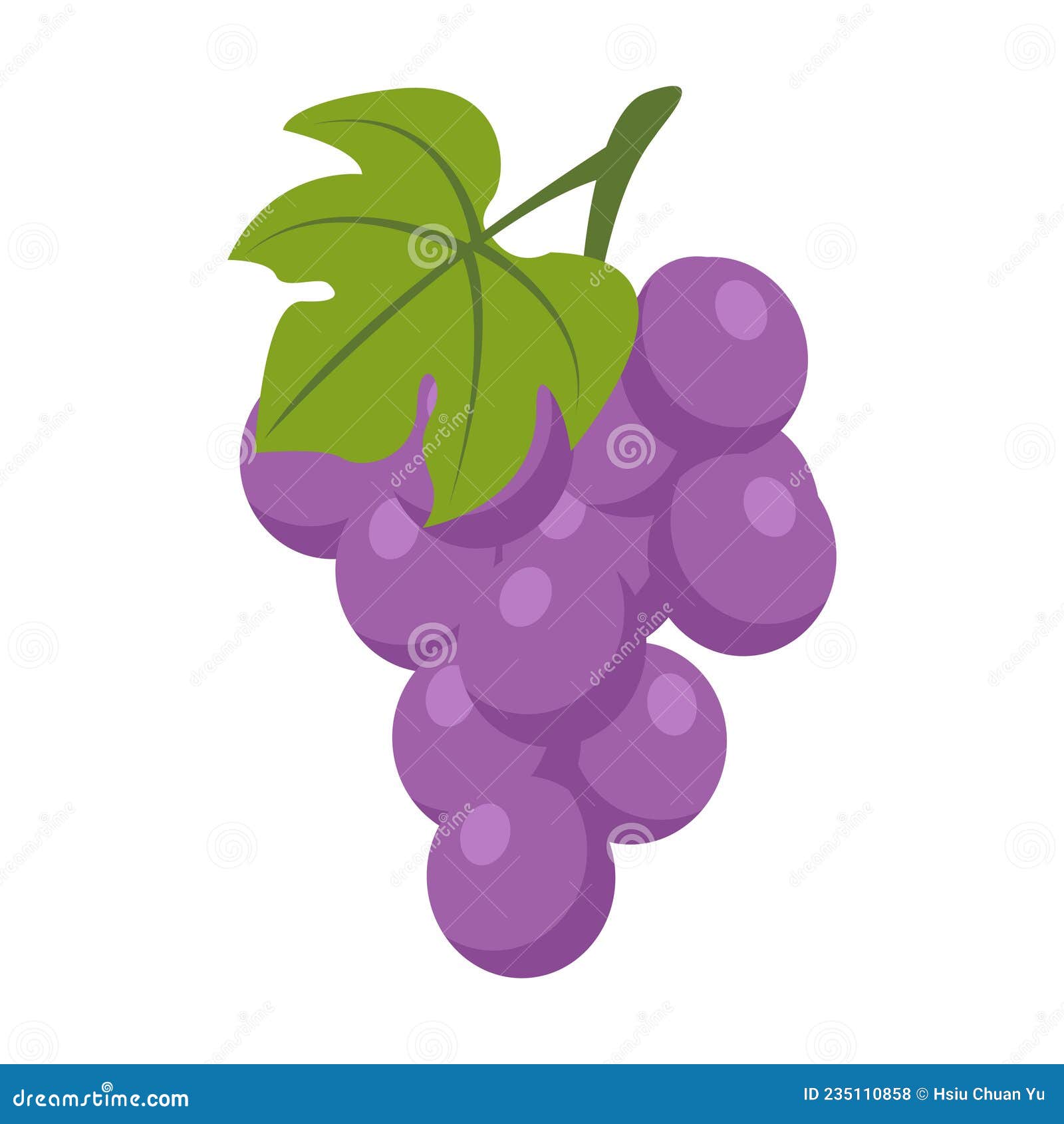 Purple Grape Clean Line Drawing Cartoon Vector | CartoonDealer.com ...