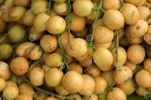 Fruit Rambi Rambeh stock photo. Image of fruit, food - 93098188