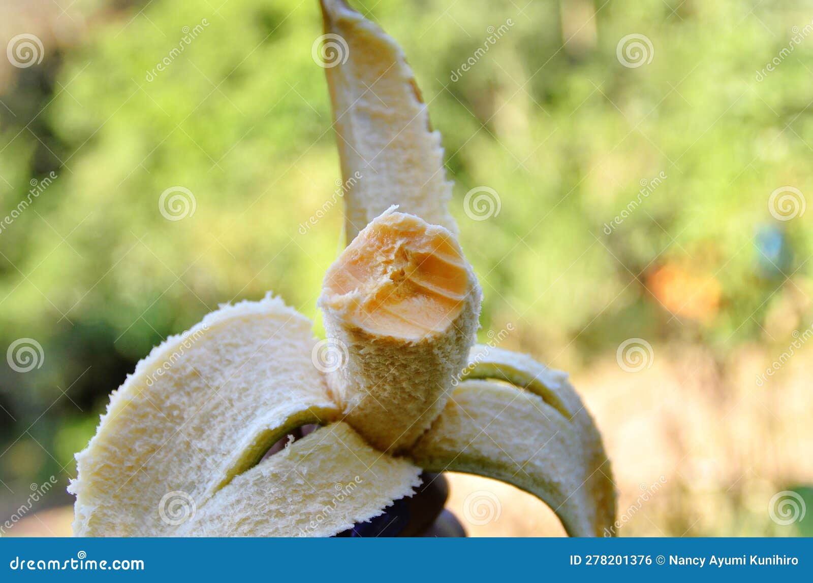 A Bitten Red Dacca Bananas Fruit Stock Photo - Image of healthy, cream ...
