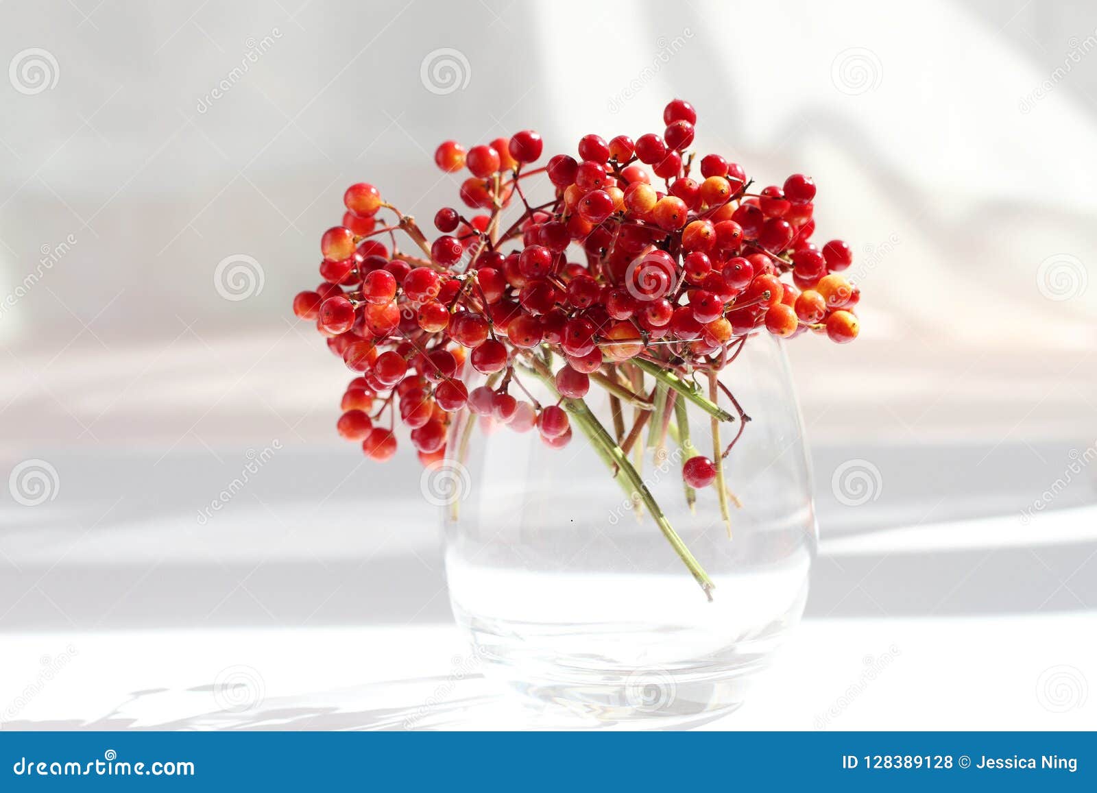 Fruit Rouge Sauvage Sur Le Fond Blanc Photo stock - Image du vacances ...