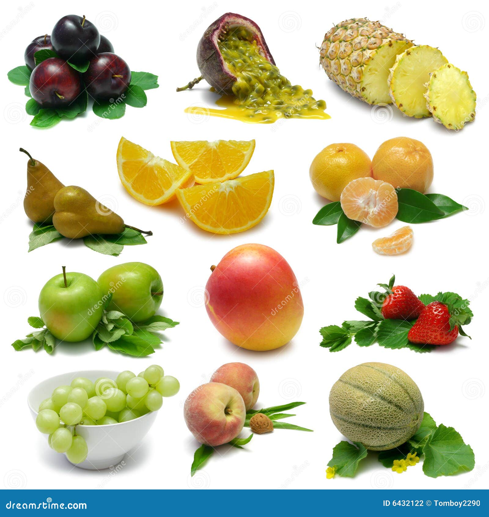 Fruit Sampler stock photo. Image of dish, rock, path, seed - 6432122