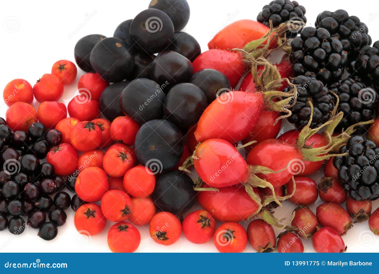 Fruit sauvage d'automne image stock. Image du saison - 13991775