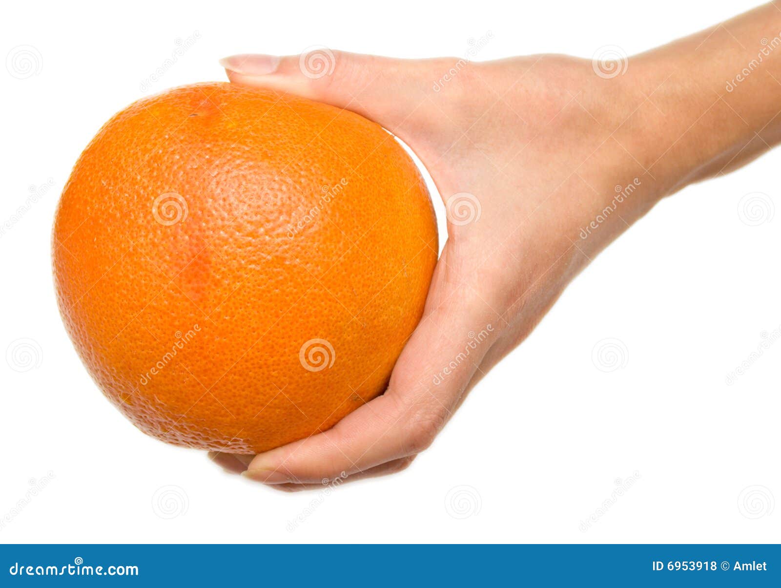 Fruit select stock photo. Image of fruit, ripe, healthy - 6953918