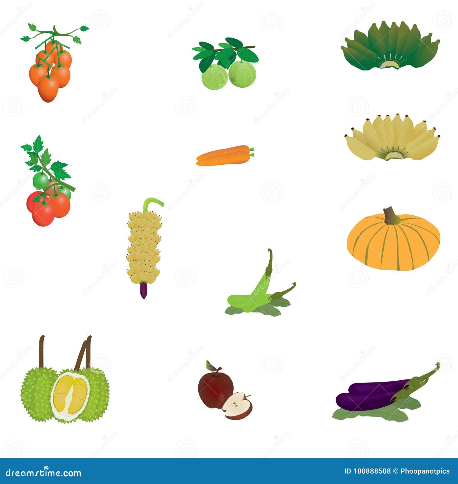 Fruit shape stock vector. Illustration of carrot, banana - 100888508