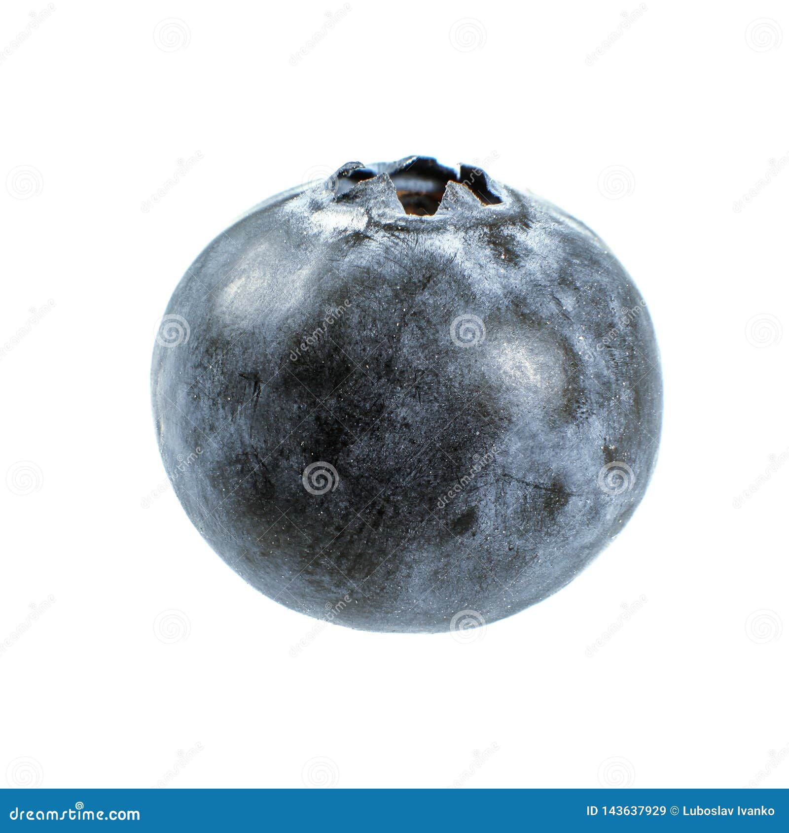 Fruit Simple De Myrtille D'isolement Sur Le Fond Blanc Image stock - Image du nature, ingrédient ...