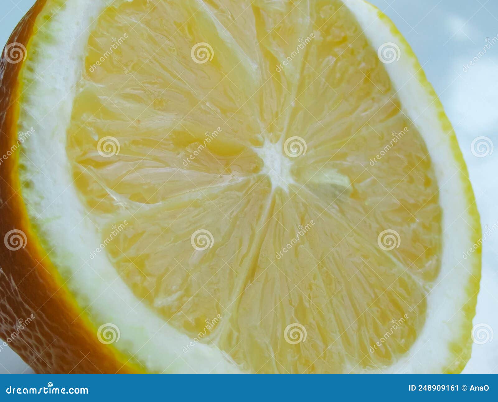 Fruit. Sliced Lemon. Slice of a Lemon. Fresh Organic Yellow Lemon Fruit ...