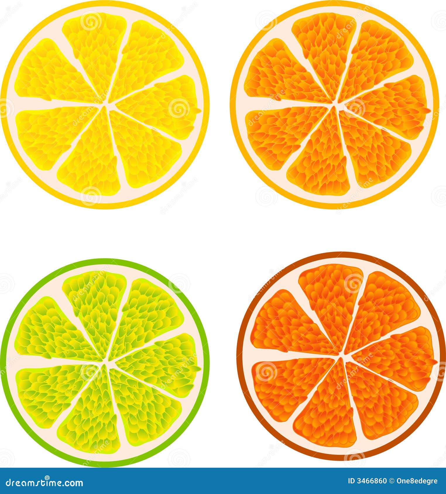 Fruit slices stock vector. Illustration of vector, lemon - 3466860