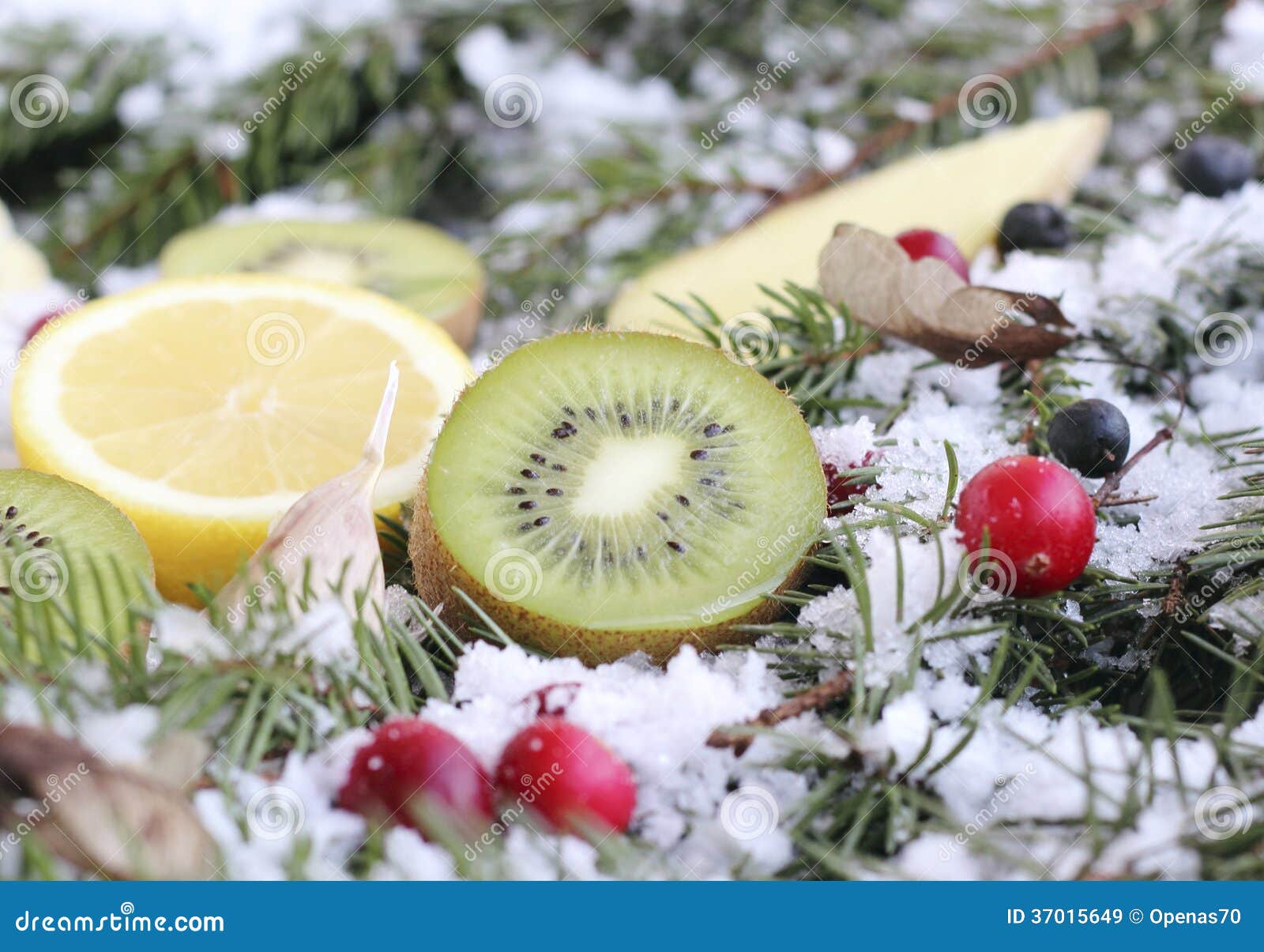 Fruit on snow stock image. Image of outdoors, scented - 37015649