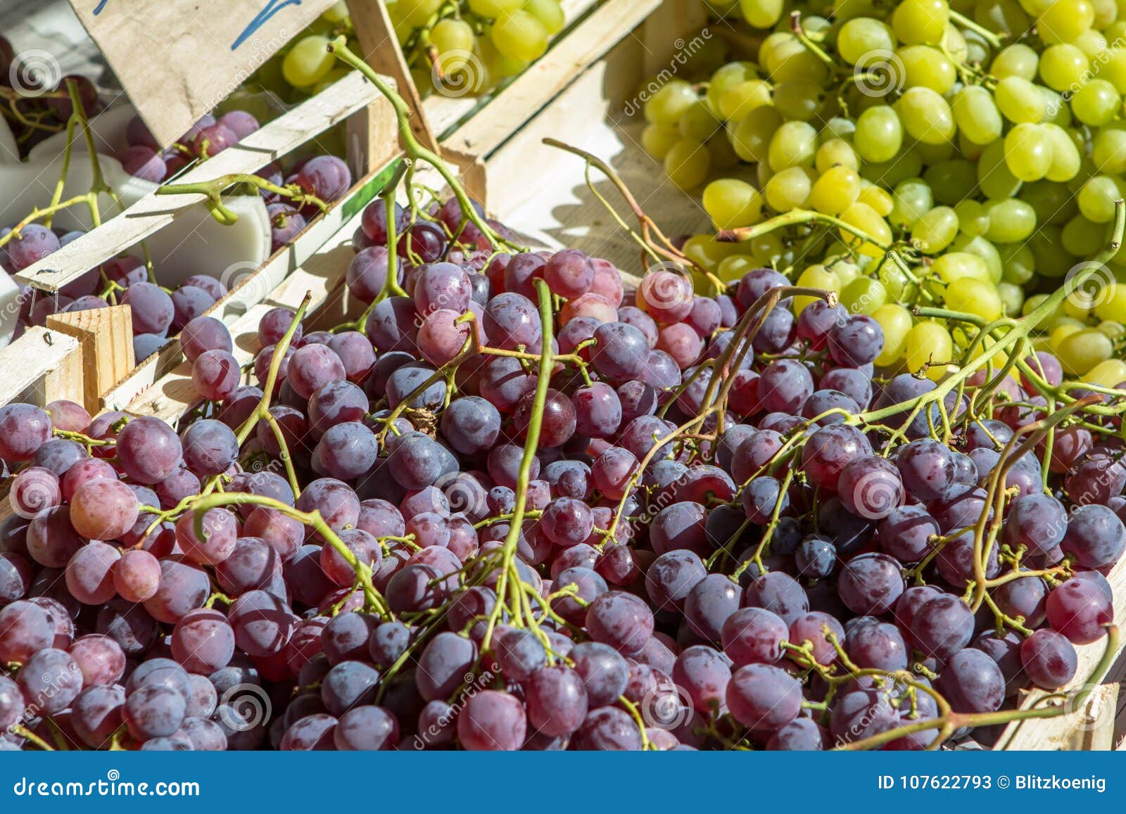 Grapes on the market stock image. Image of blue, price - 107622793