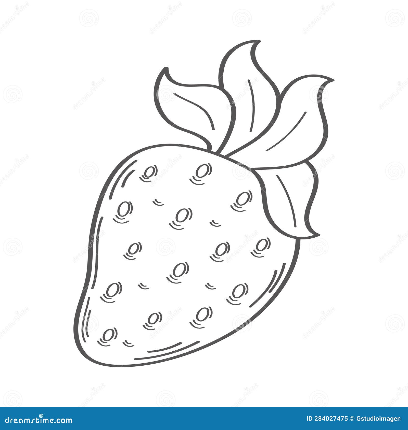 Fruit strawberry hand draw stock vector. Illustration of agriculture ...