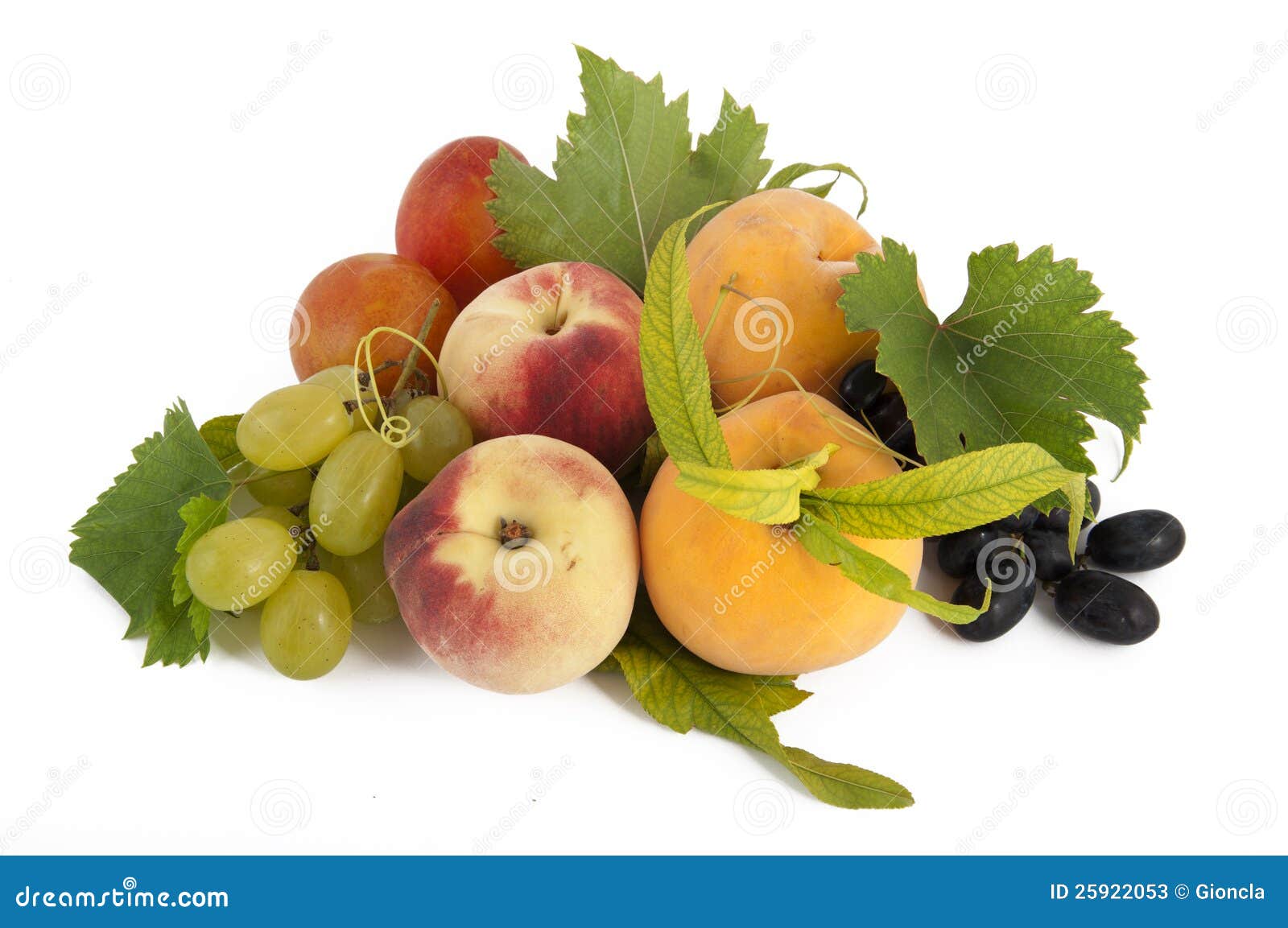 Fruit sur un fond blanc image stock. Image du groupe - 25922053