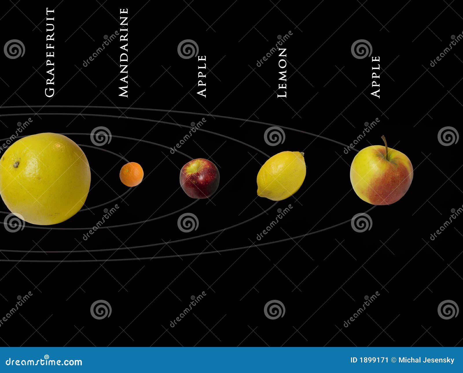 Fruit System stock illustration. Illustration of labeled - 1899171