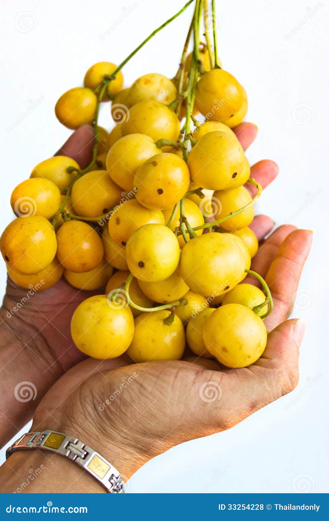 Fruit of thai stock photo. Image of asian, relaxation - 33254228