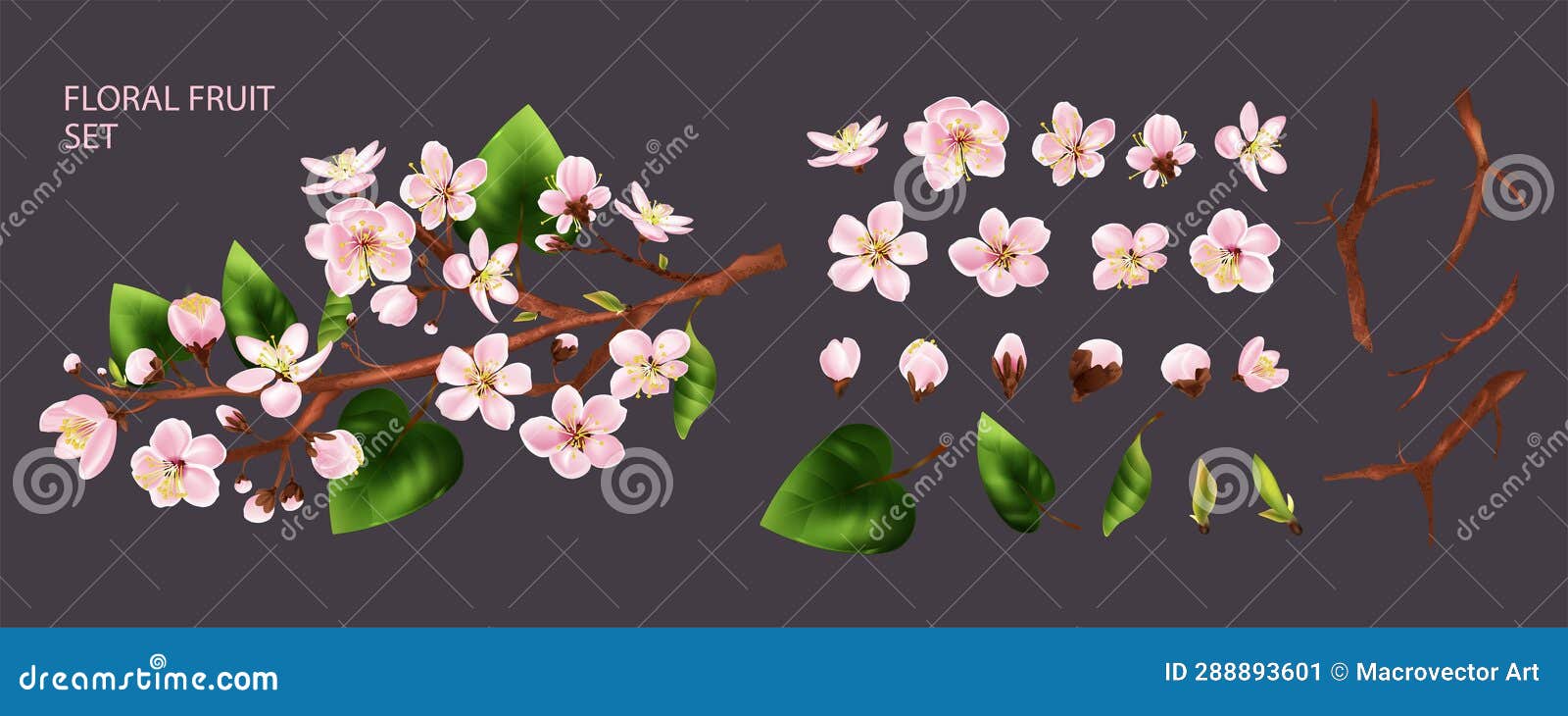 Fruit Tree Branch Set stock vector. Illustration of flowers - 288893601
