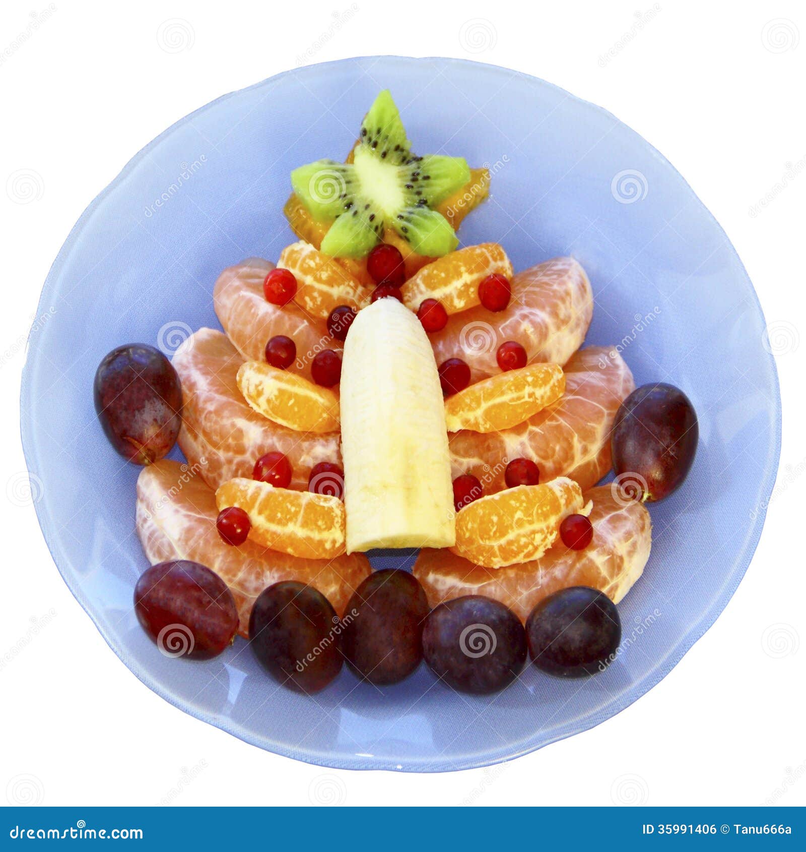 Fruit Tree on a Plate on a White Background Stock Photo - Image of ...