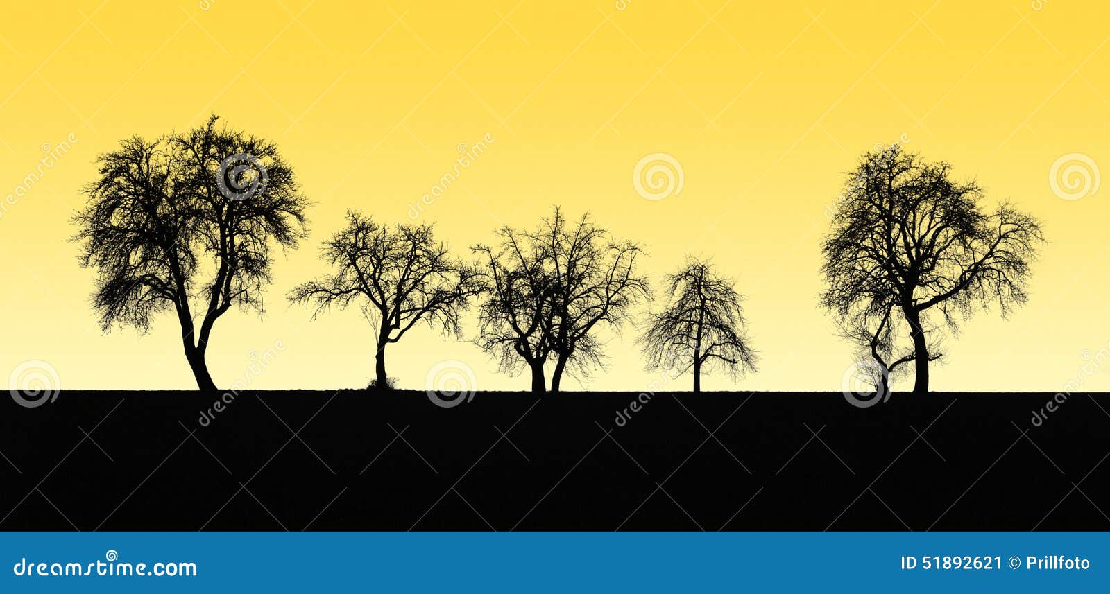 Fruit tree silhouettes stock image. Image of sunrise - 51892621