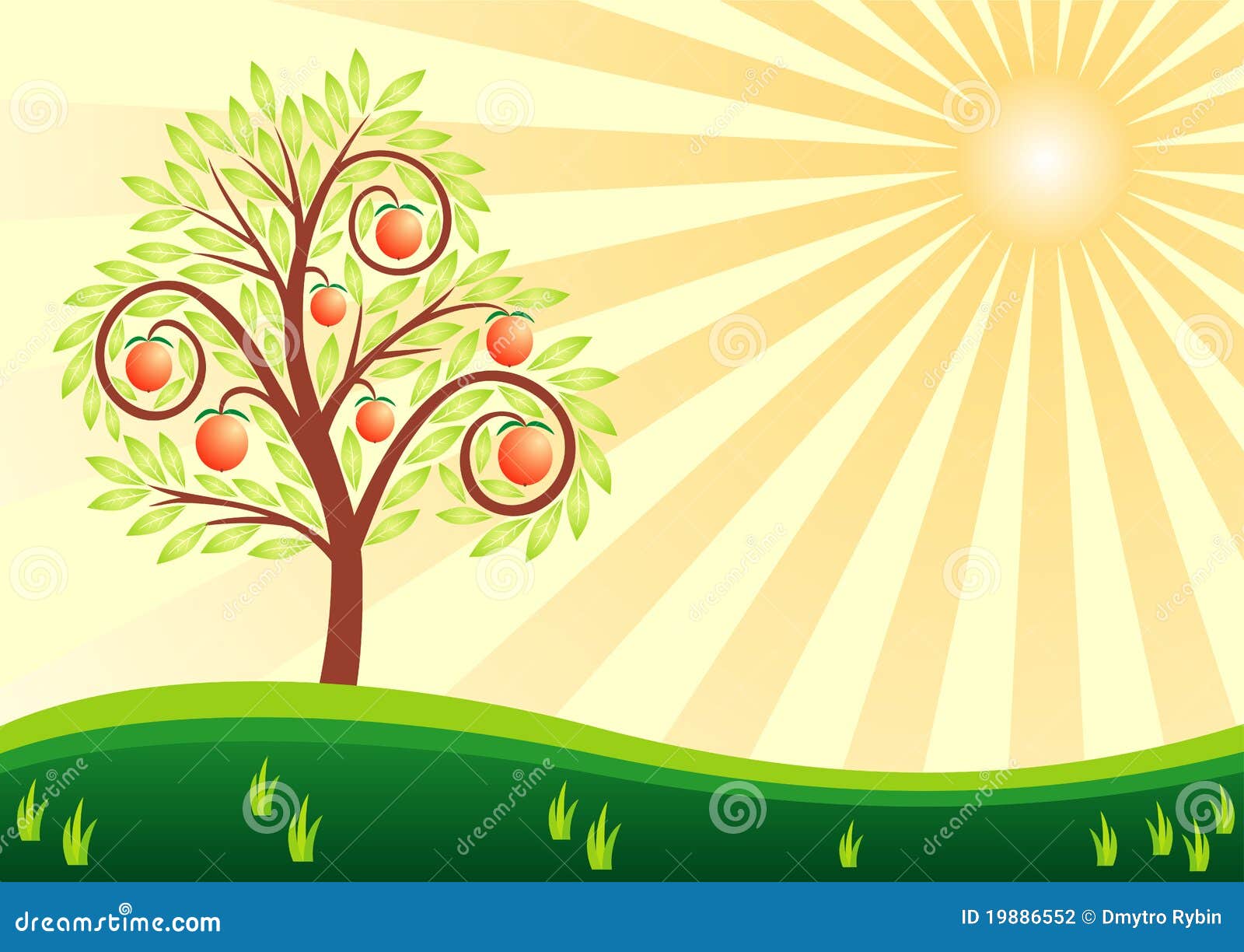 Midday Sun Clipart