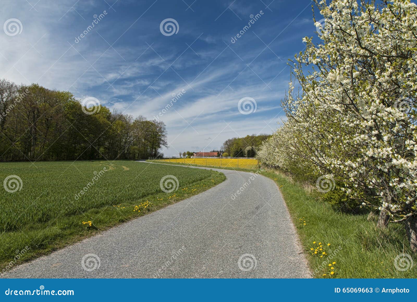 Fruit Trees at a Country Road Stock Image - Image of clouds, denmark ...