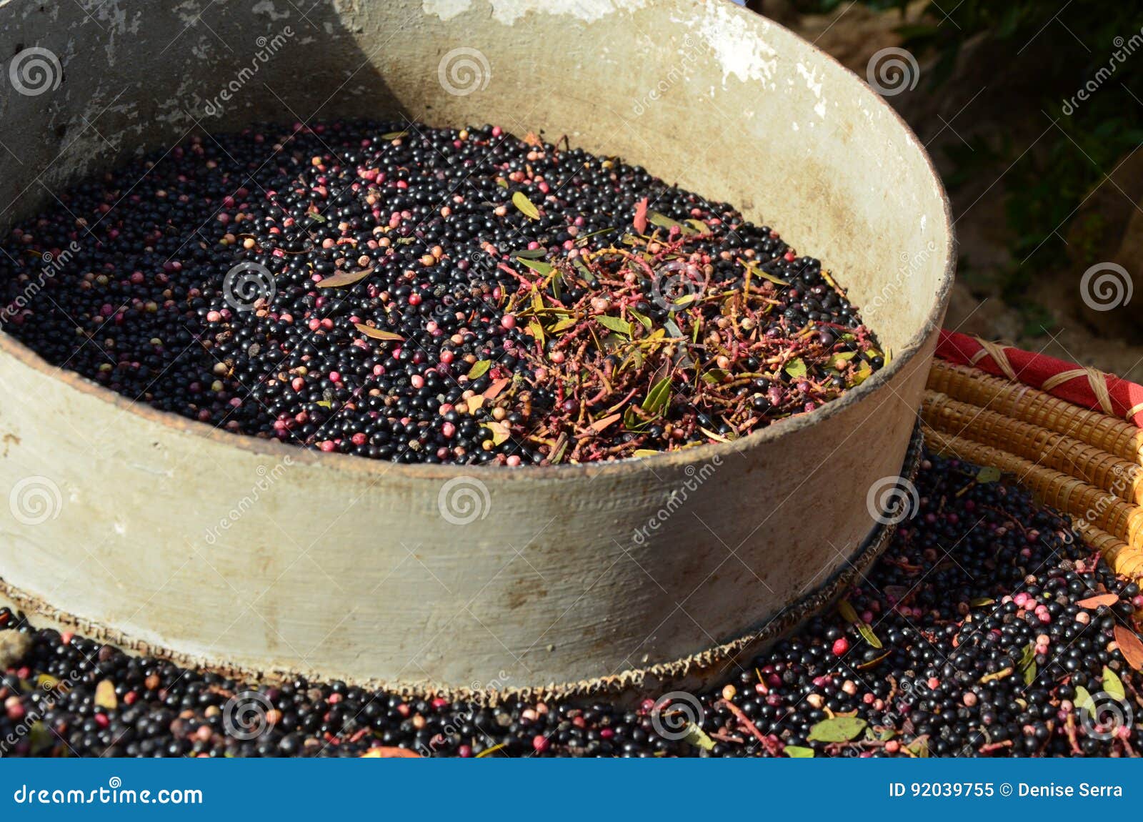Fruit Van Mirte Aan De Markt Wordt Blootgesteld Die Stock Afbeelding ...