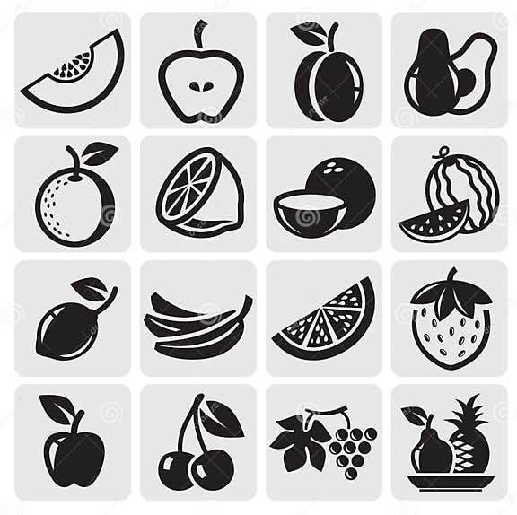 Fruit vector set stock vector. Illustration of citrus - 25926498