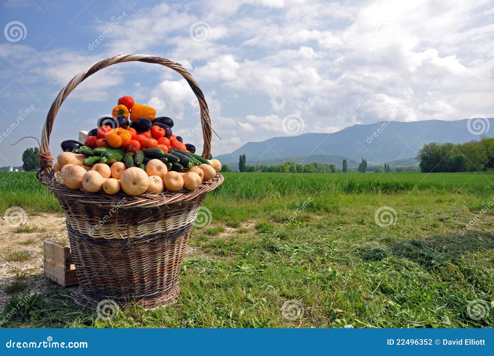 Fruit and vegetable basket stock photo. Image of europe - 22496352