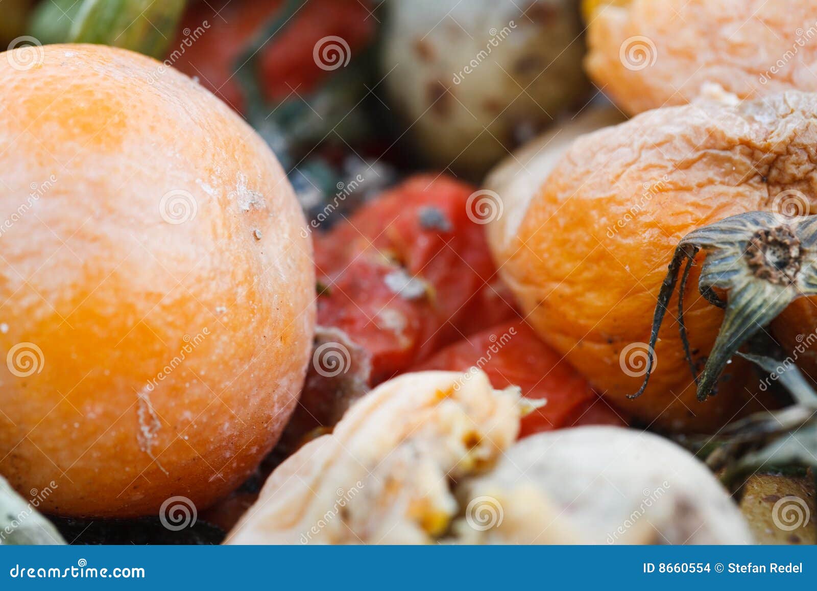 Fruit and Vegetable Compost Stock Photo - Image of pile, gardening: 8660554