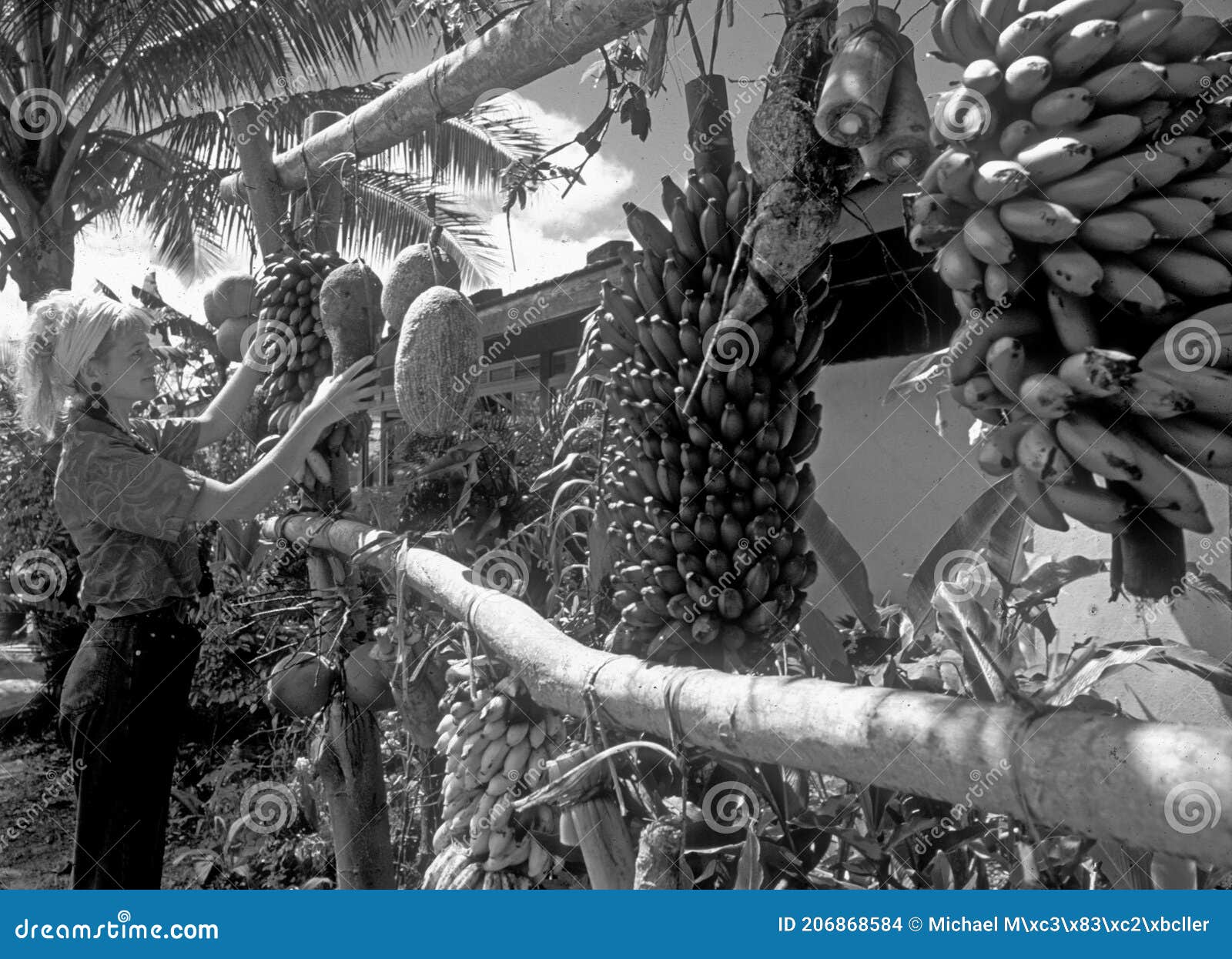A Fruit and Vegetable Farmer Woman on Bora Bora Island Editorial Stock ...