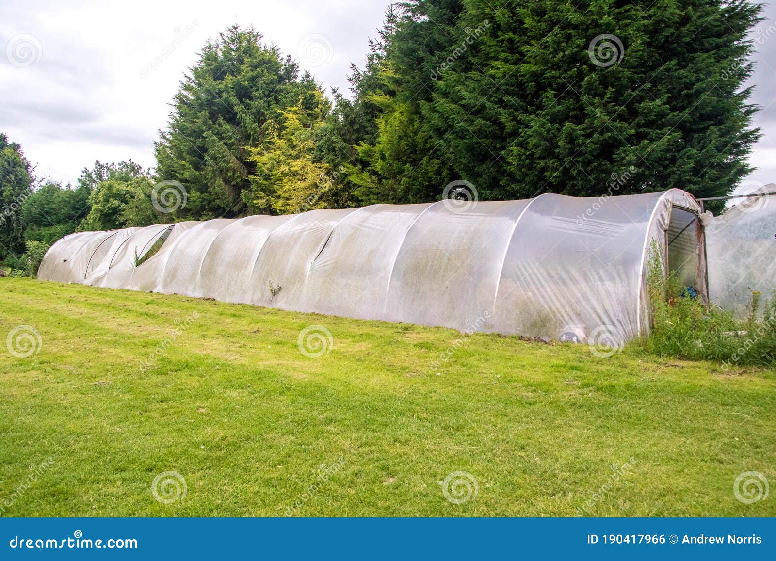 Fruit & Vegetable Growing Tent Stock Photo - Image of fresh, farm ...