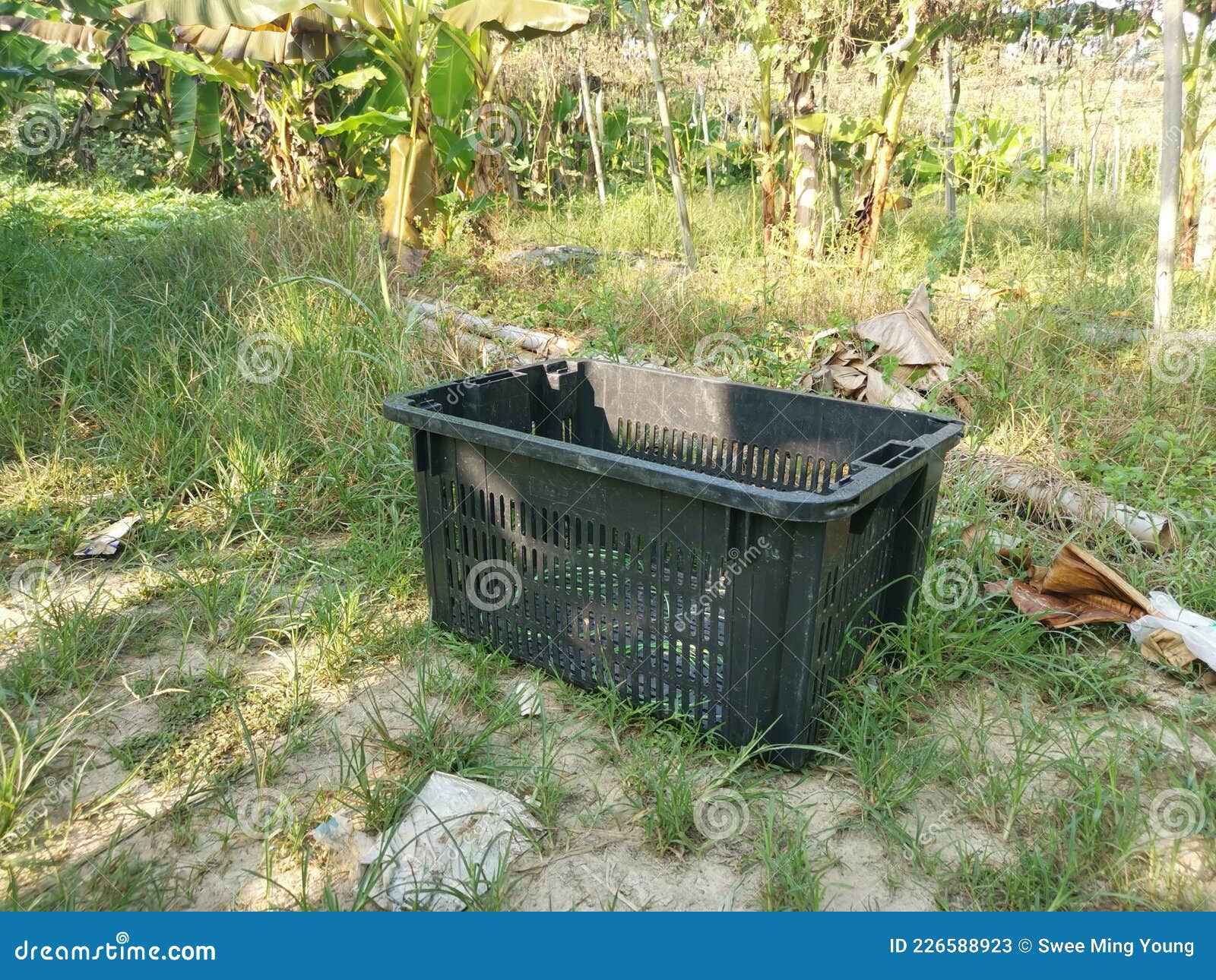 Fruit and Vegetable HDPE Plastic Crate at the Farm Stock Image - Image ...