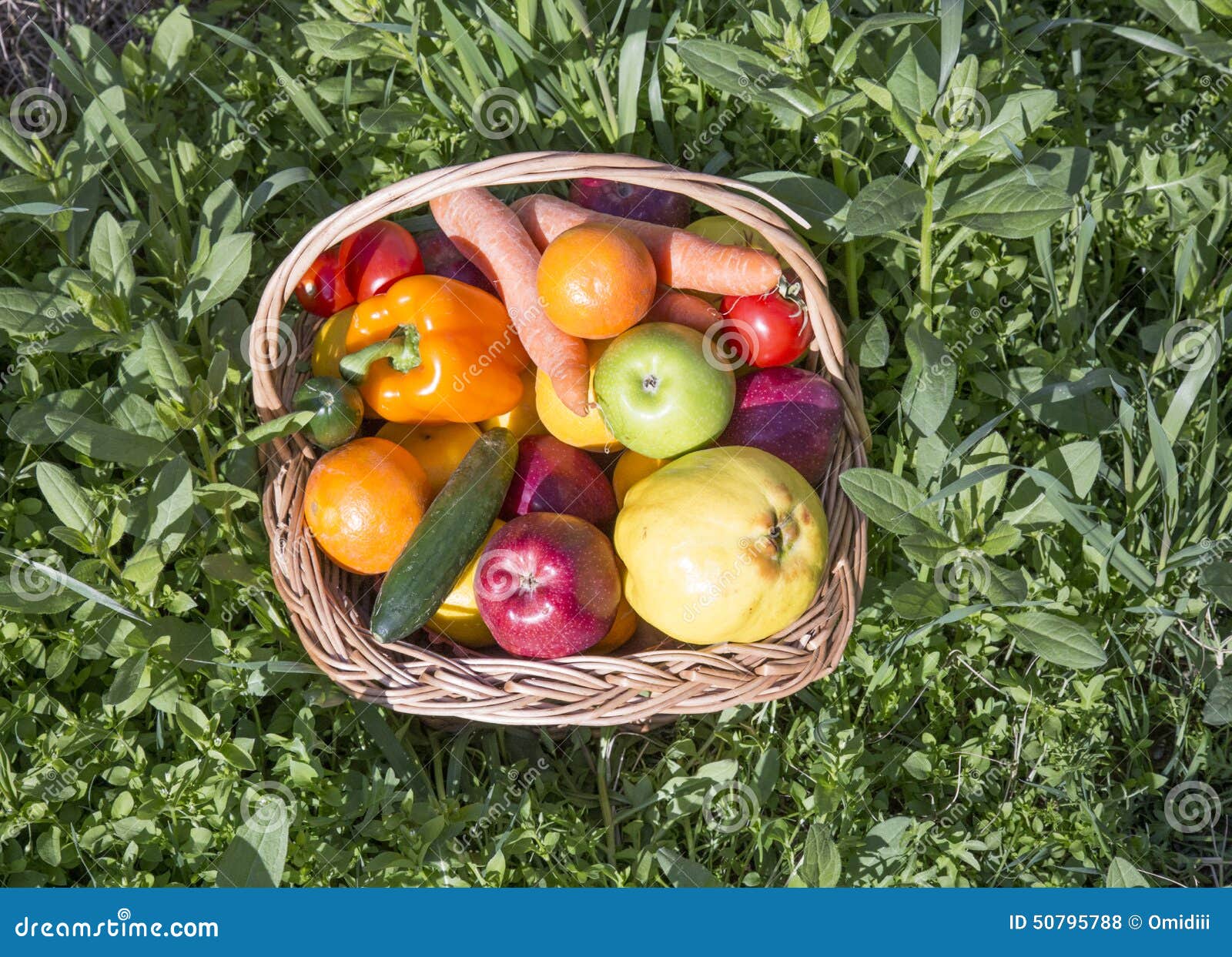 Fruit and vegetable basket stock photo. Image of cucumber - 50795788