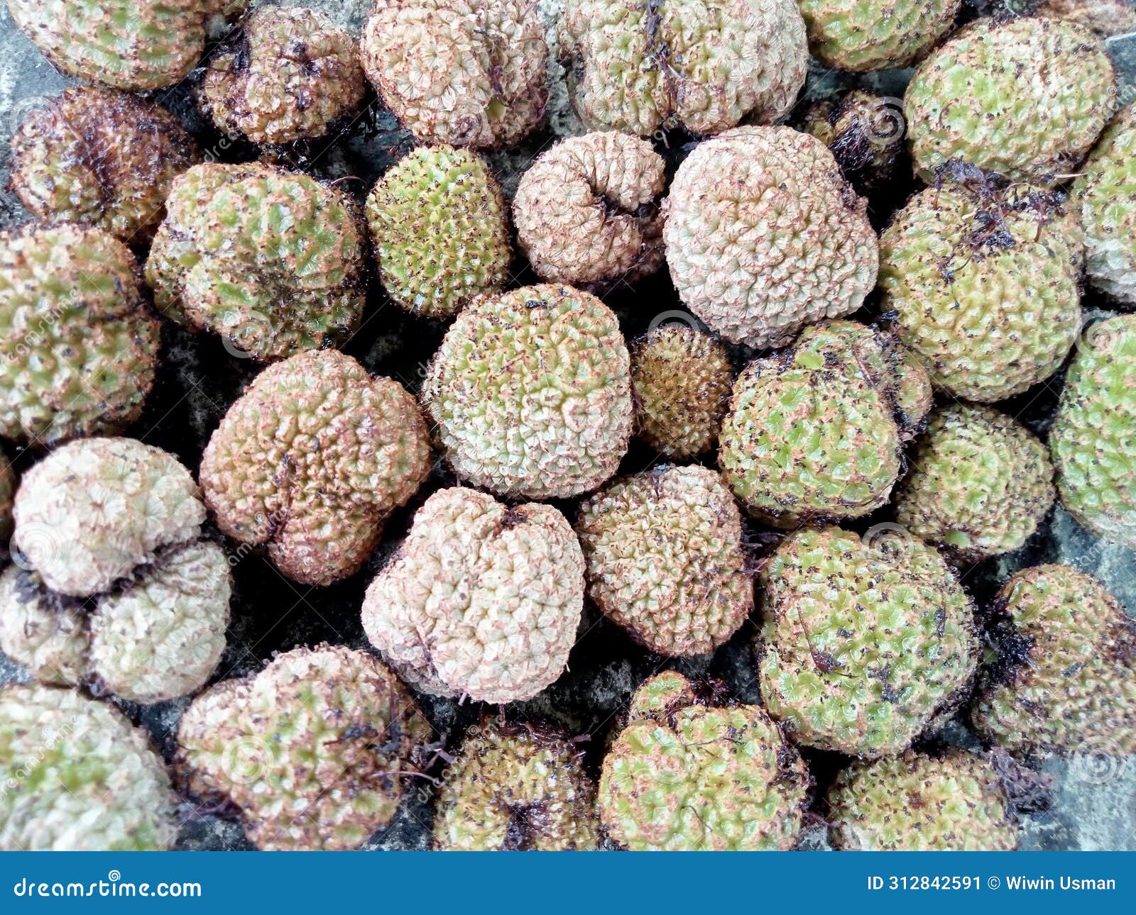 Fruit Whose Skin Has a Rough Texture Stock Image - Image of dish, plant ...