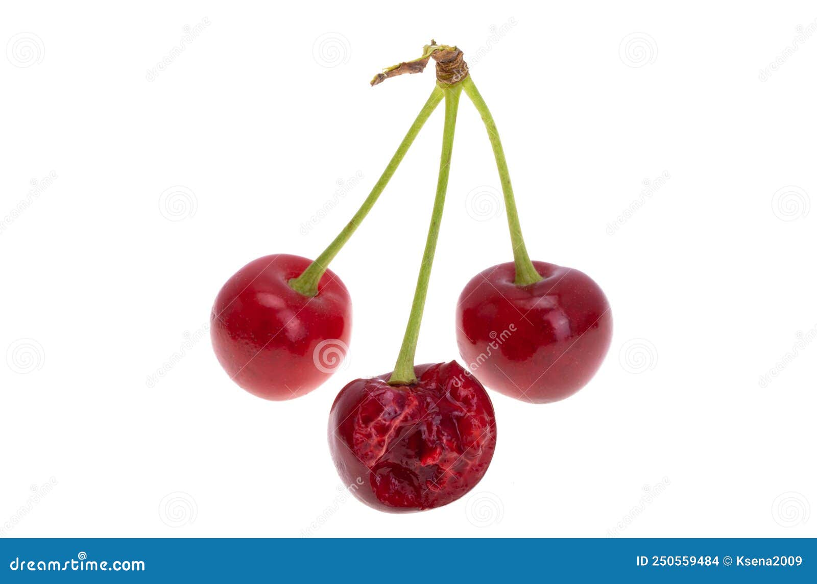 Fruitage cherry isolado foto de stock. Imagem de suco - 250559484