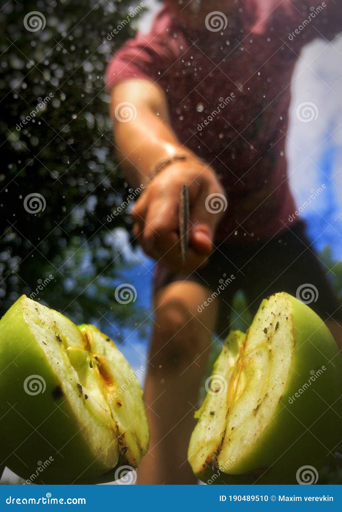 FruitNinja stock photo. Image of fruitninja, knife, ninja - 190489510