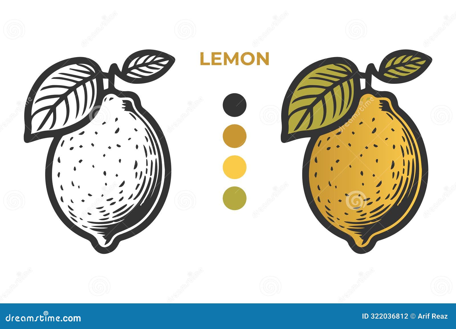 Black and White Vector Illustration of a Lemon for Coloring Book with ...