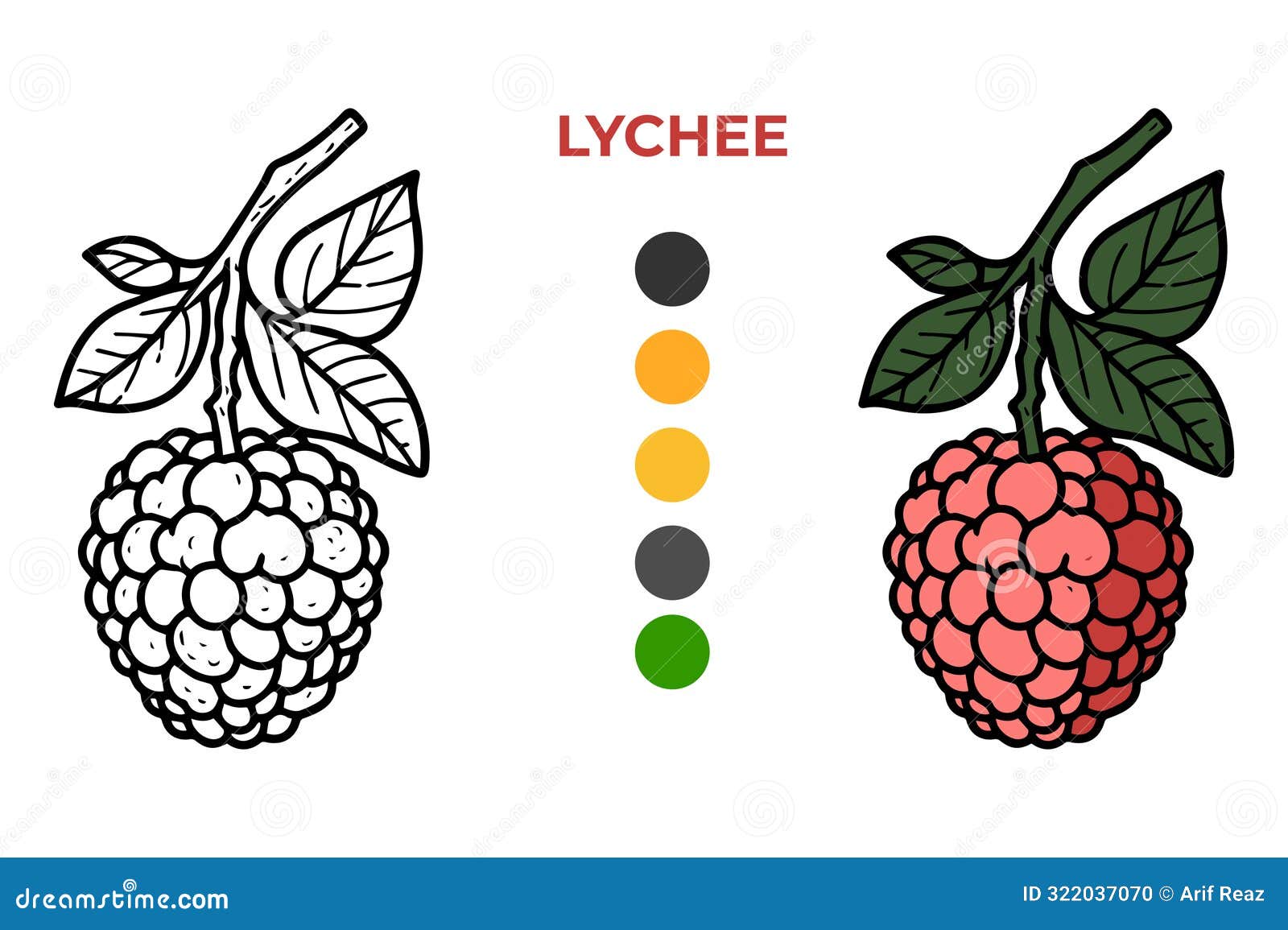 Black and White Vector Illustration of a Lychee for Coloring Book with ...