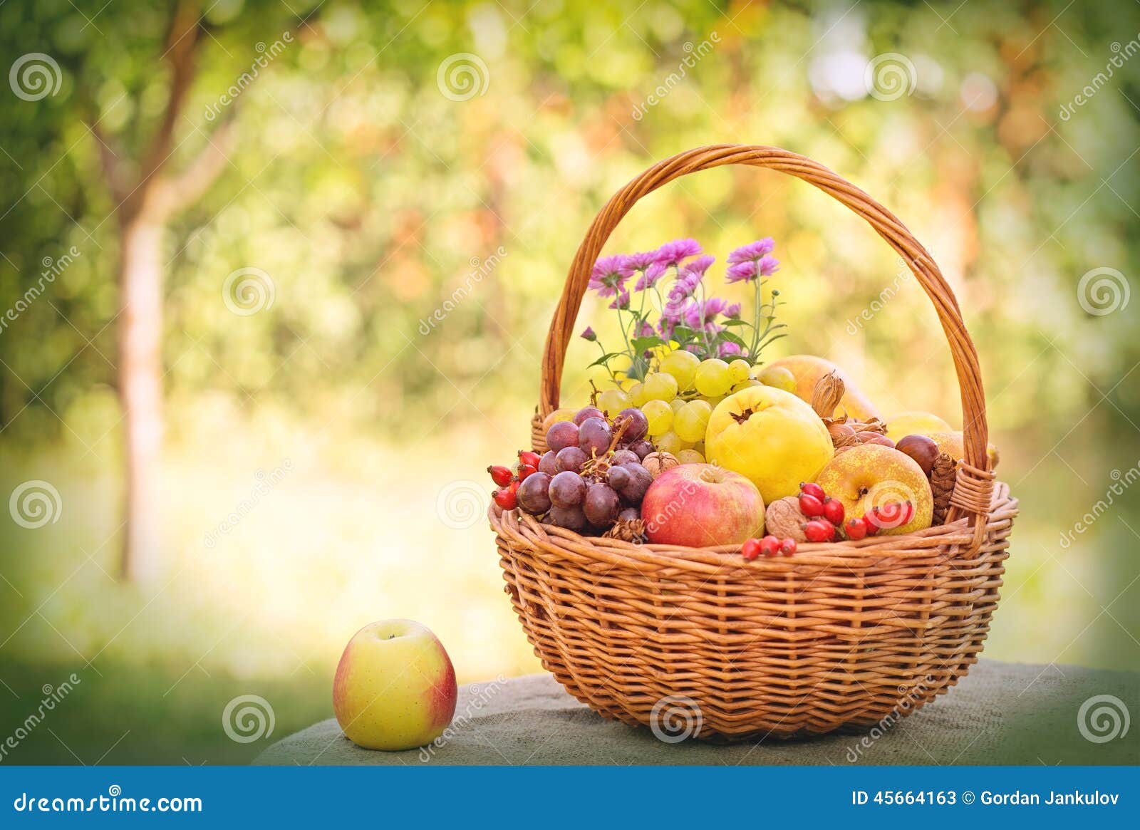Fruits Automnaux Dans Le Panier En Osier Image stock - Image du ...