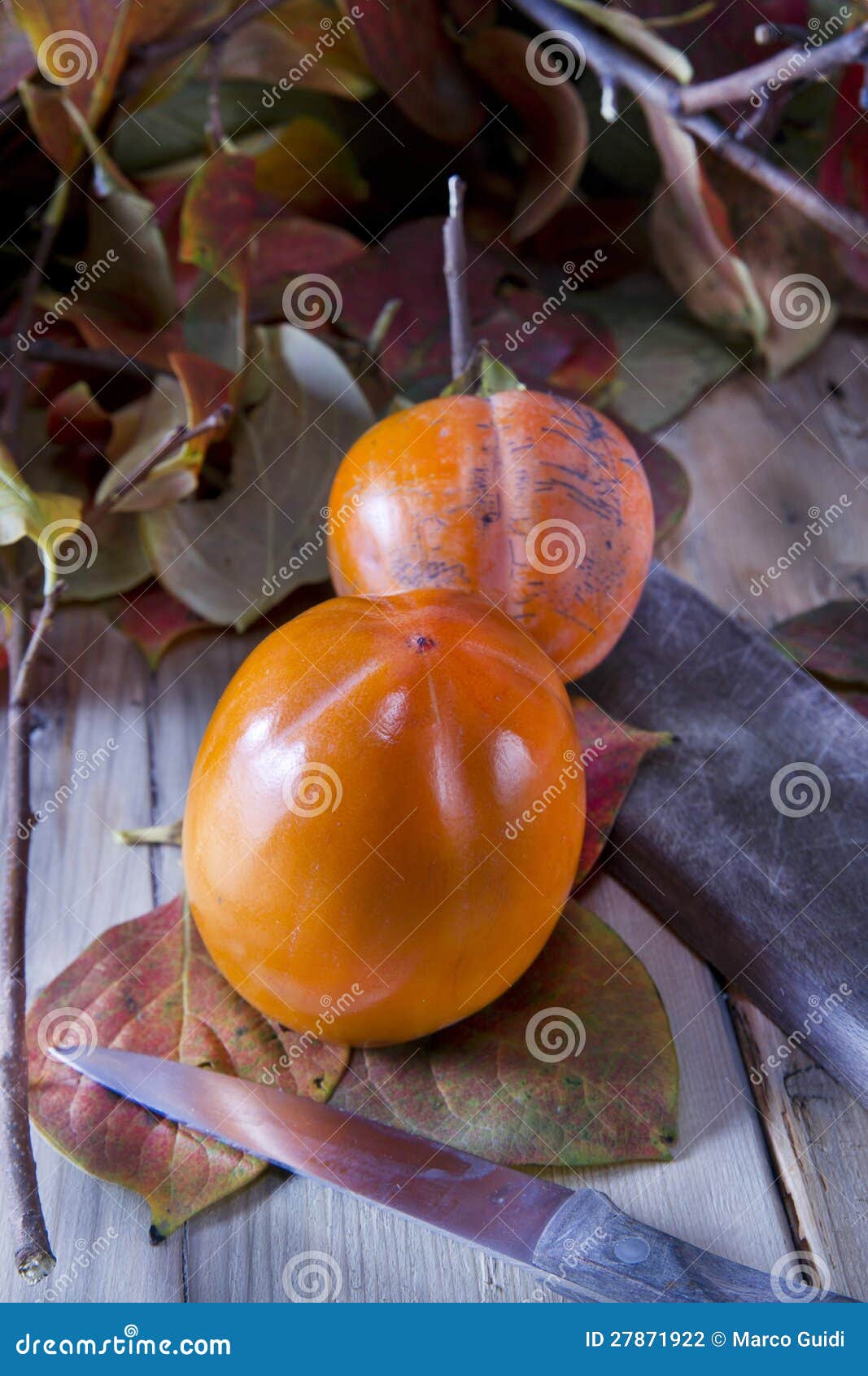 Fruits of Autumn, Persimmon Stock Photo - Image of white, vegetarian ...