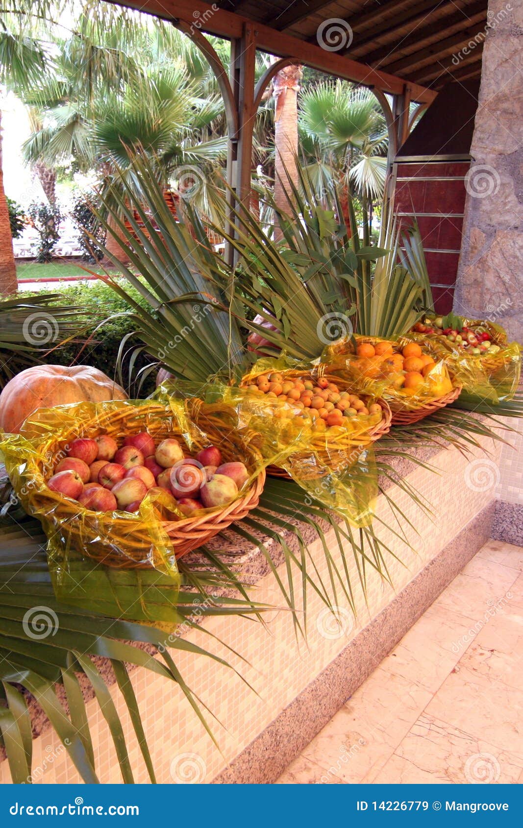 Fruits buffet stock image. Image of arrangement, elaborate - 14226779