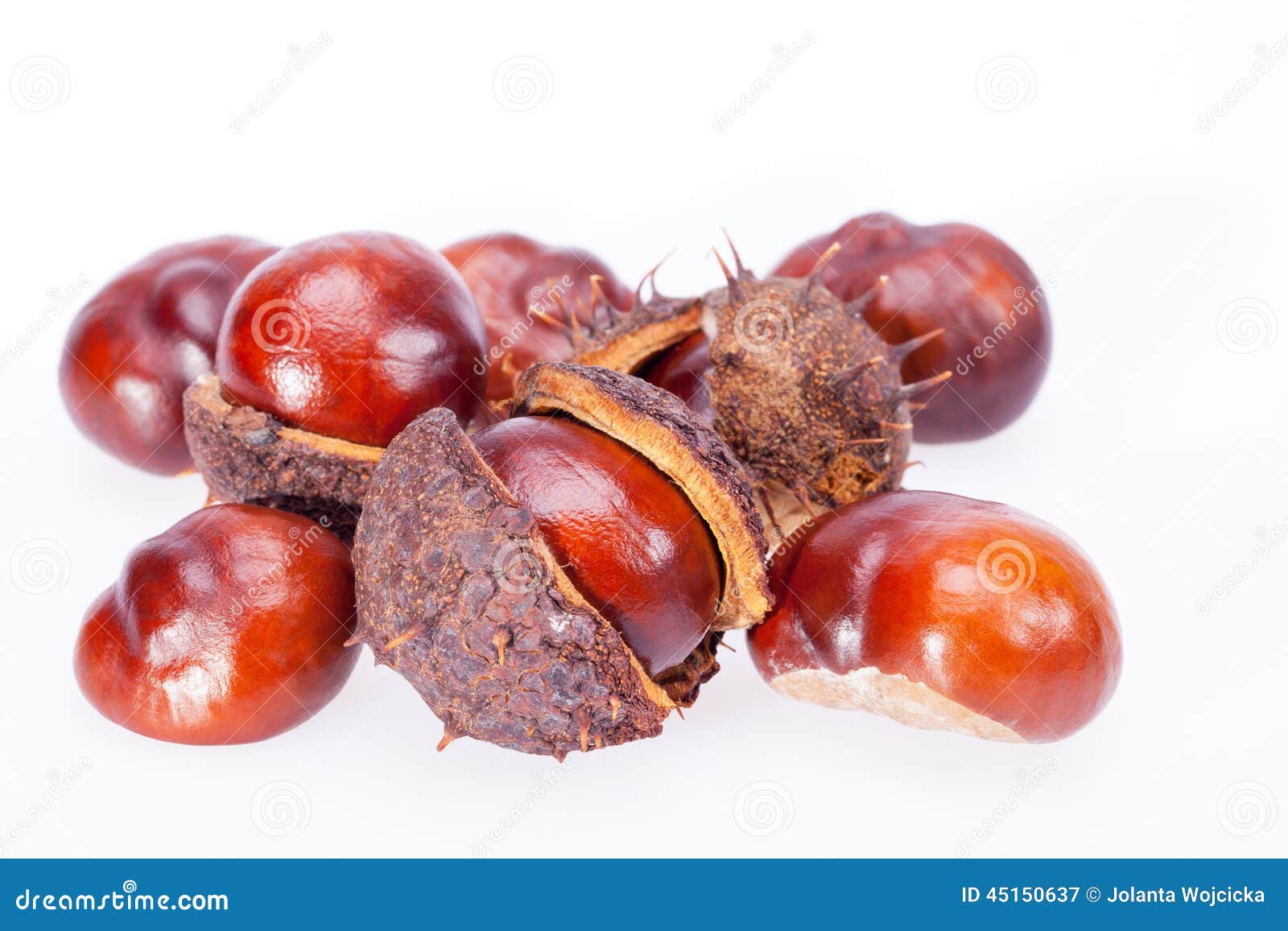Fruits of Chestnuts in Dry Shell Isolated on White Background Stock ...