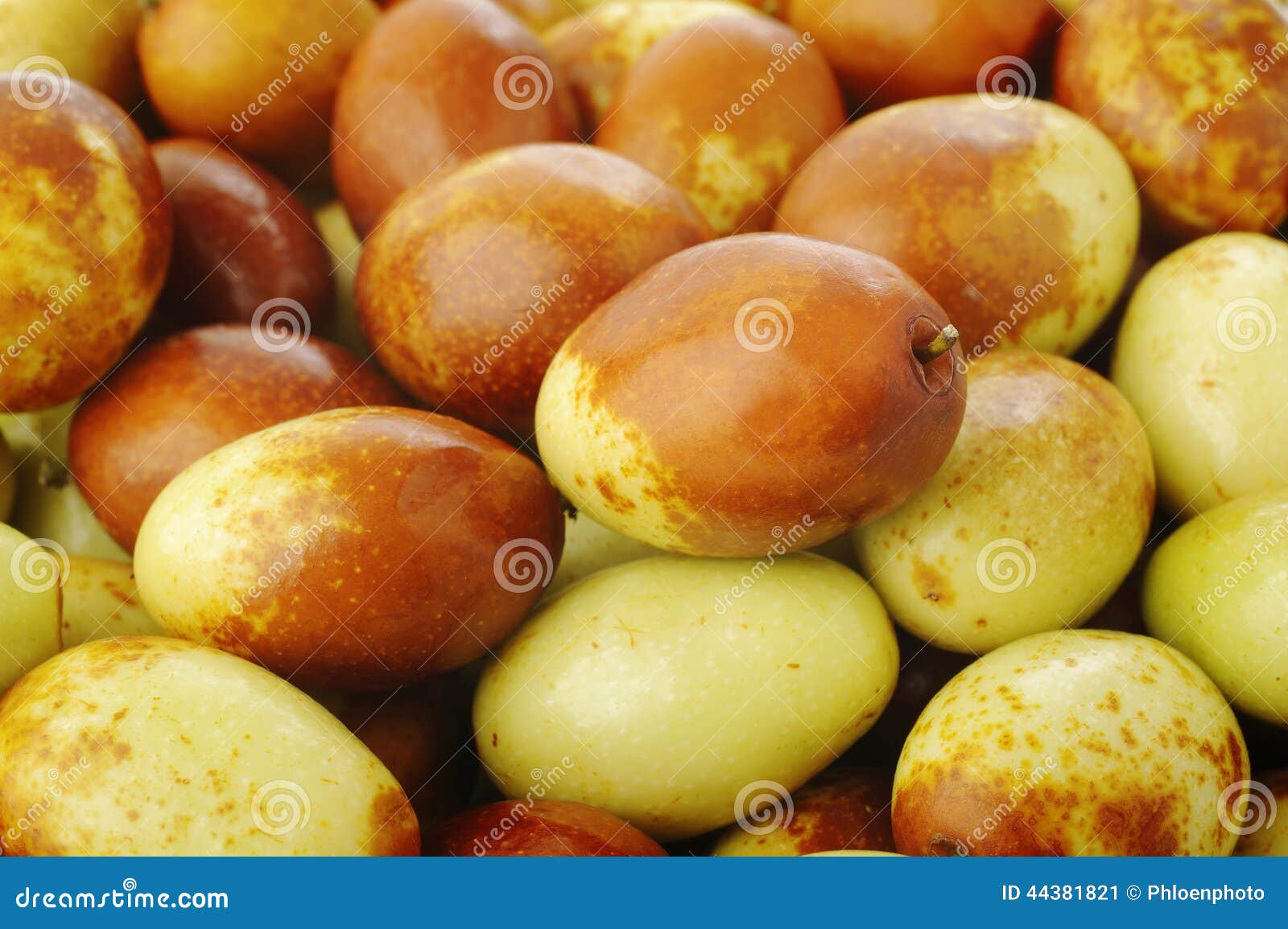 Fruits chinois de jujubes image stock. Image du asie - 44381821