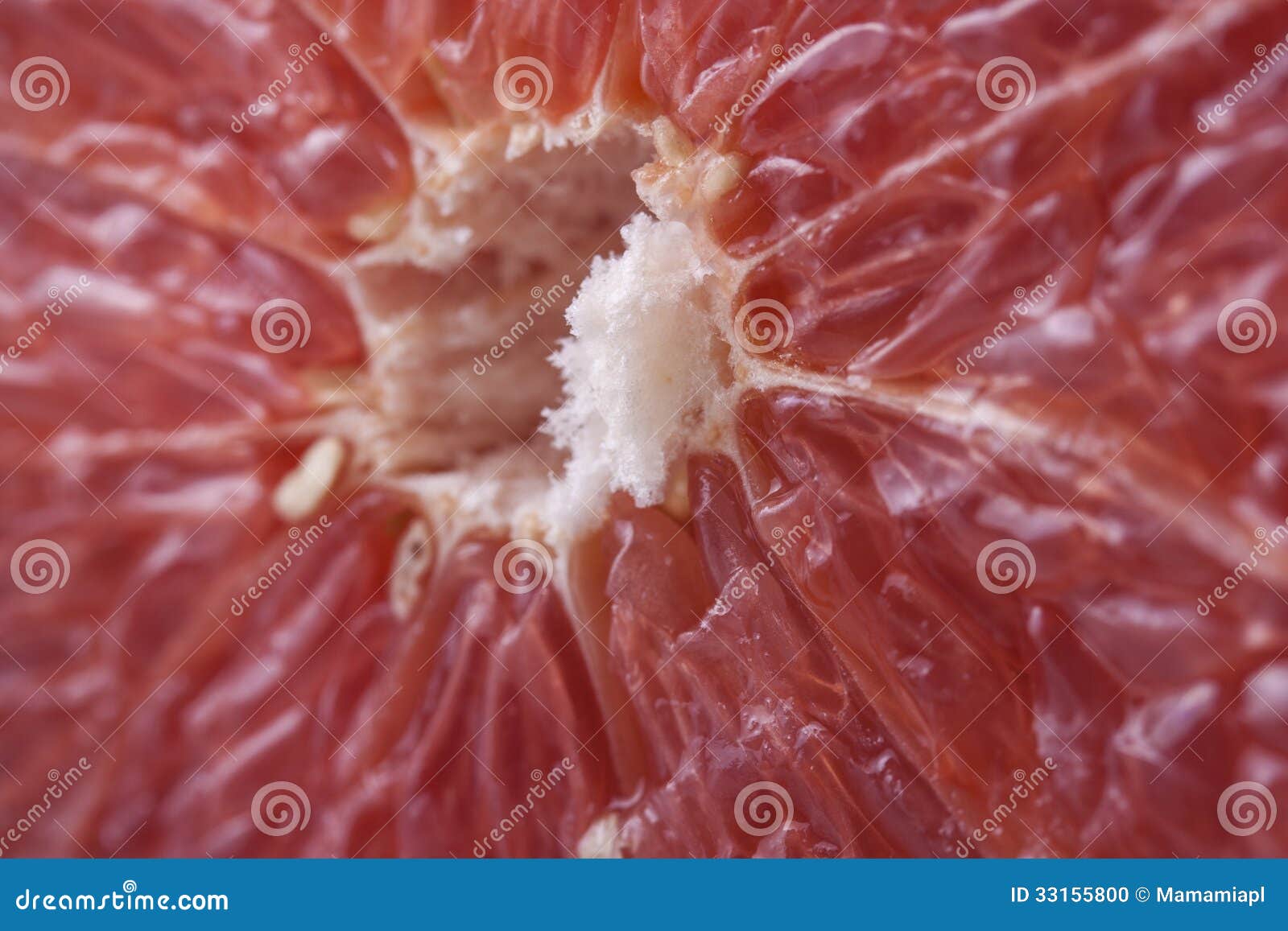 Fruits stock photo. Image of diary, fruits, diet, lifestyle - 33155800