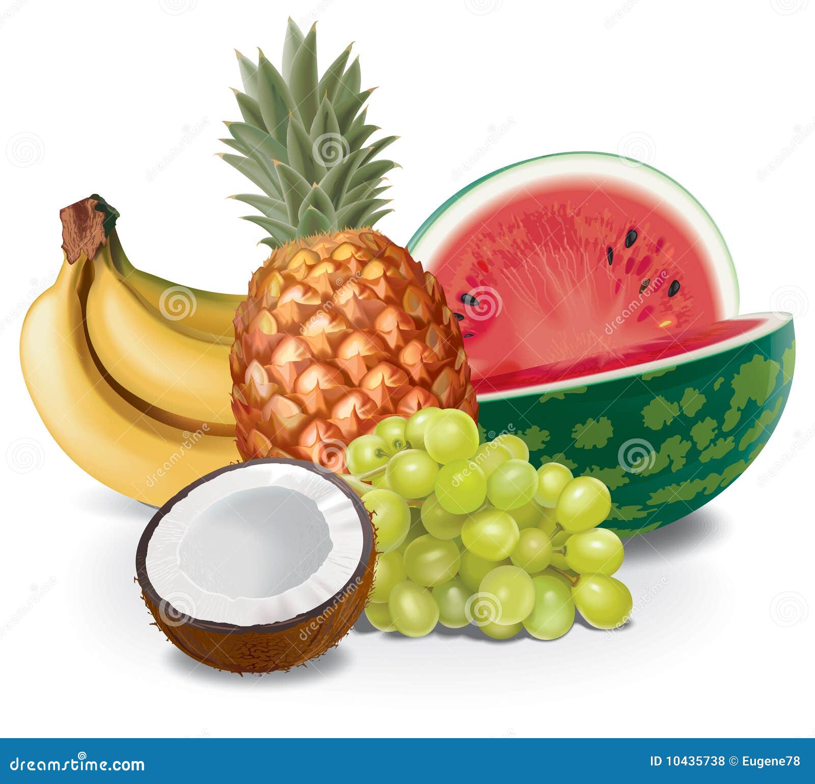 Fruits composition stock vector. Illustration of delicious - 10435738